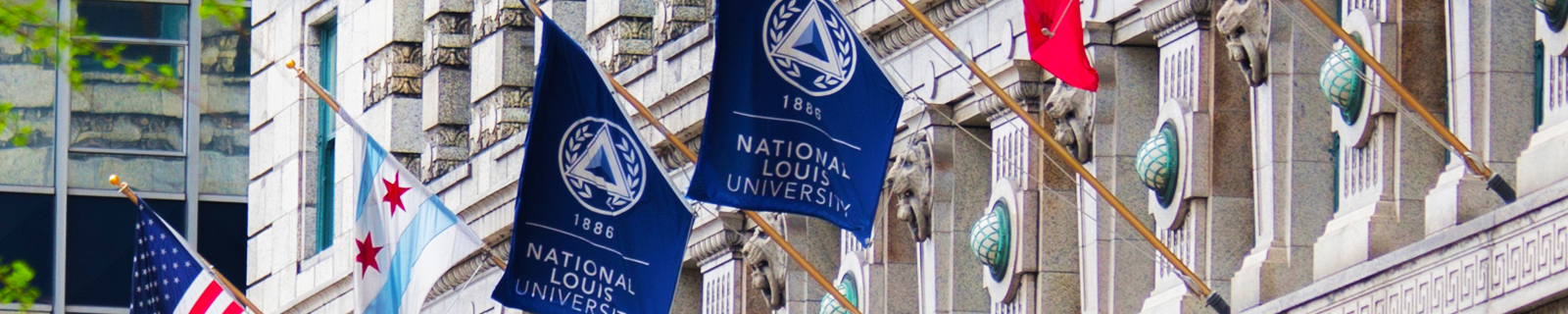 National Louis University - Niche