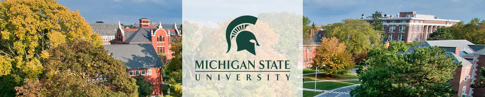 Michigan State University - Niche
