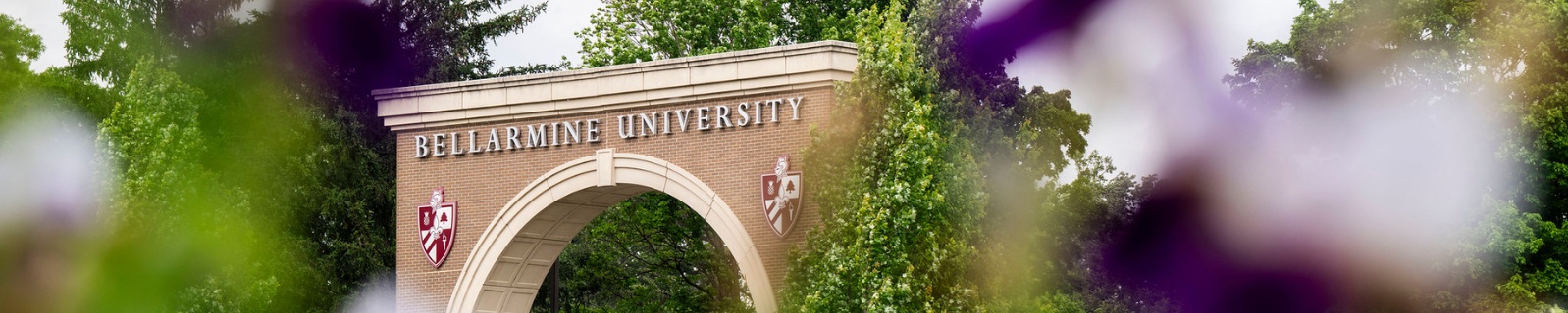 Bellarmine University - Niche