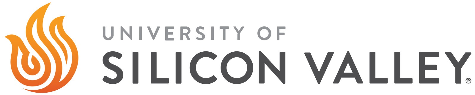 University of Silicon Valley - Niche