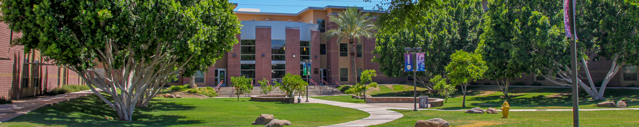 University of Advancing Technology - Niche